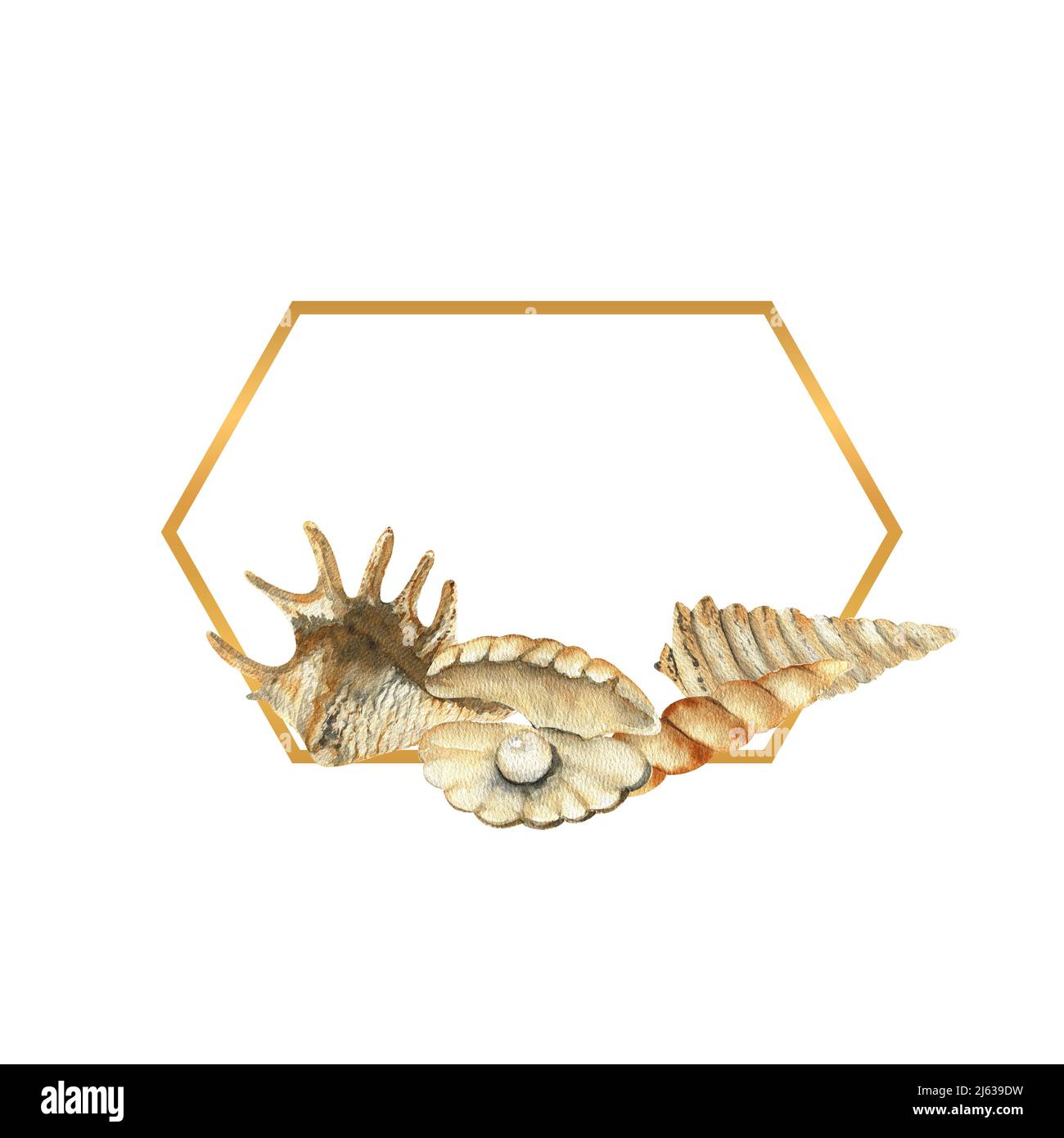 Hand-drawn Gold frame with shells, beach illustration. Watercolor ...