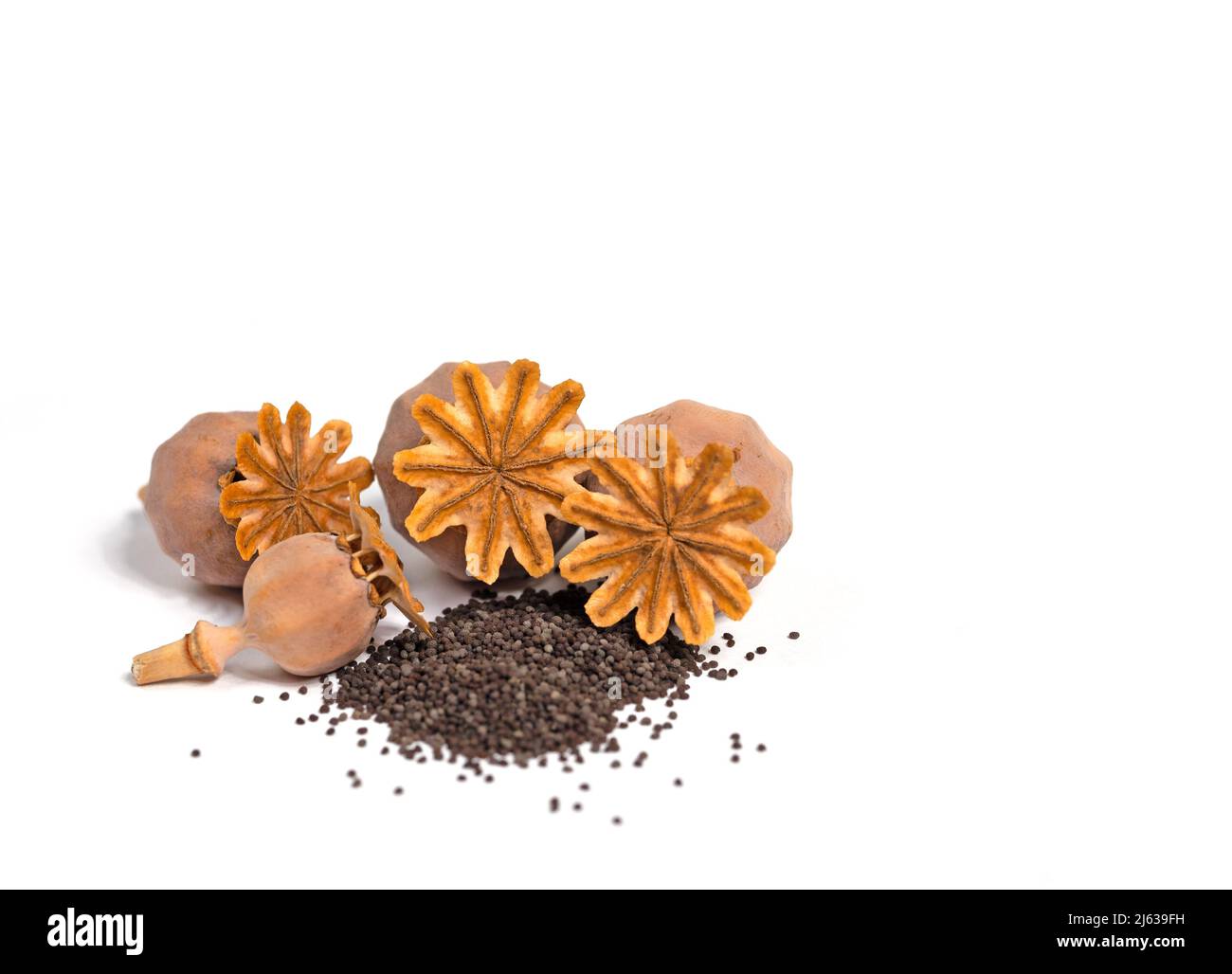 Dried poppy capsules with seeds against white background Stock Photo ...