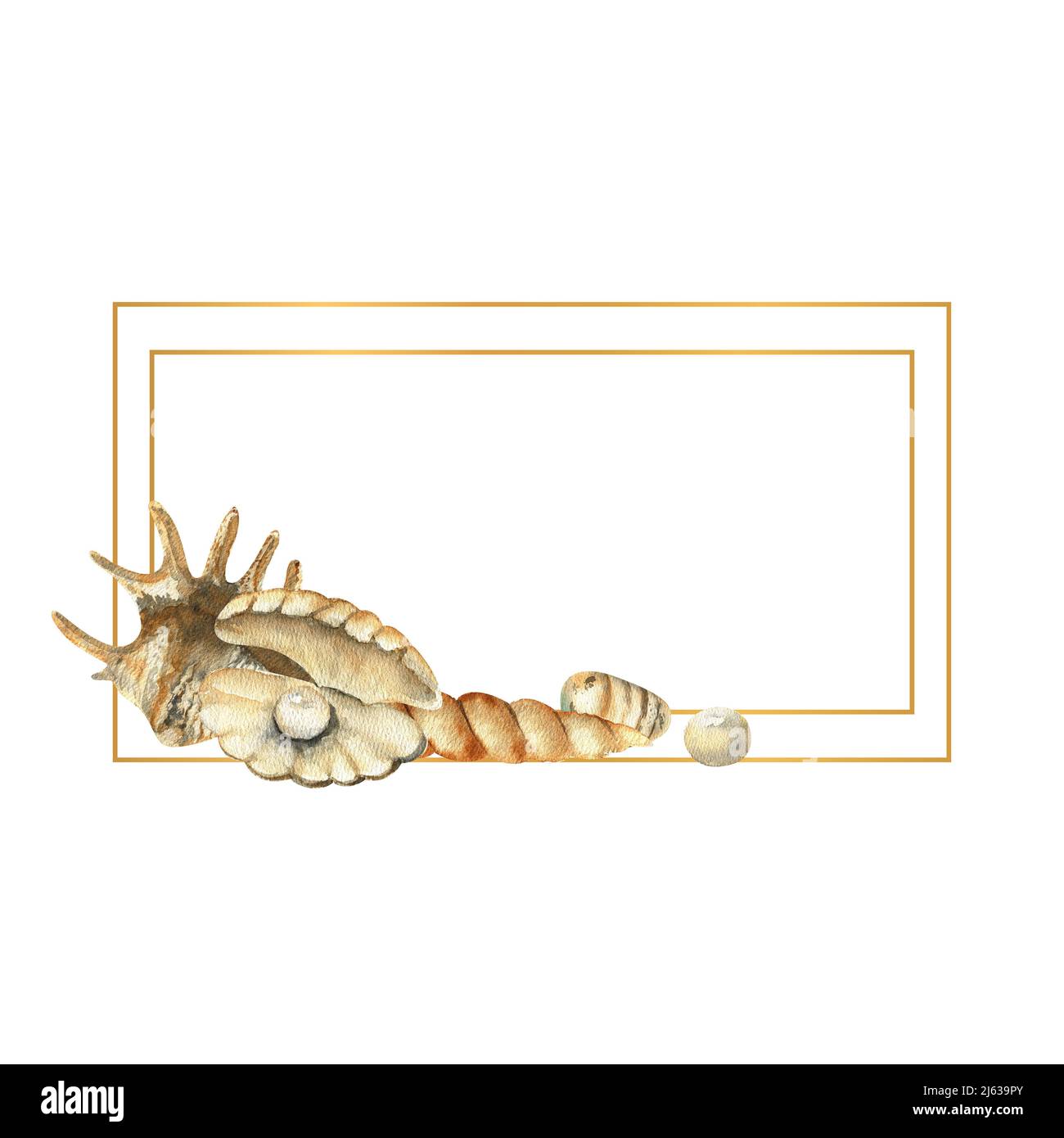 Hand-drawn Gold frame with shells, beach illustration. Watercolor ...