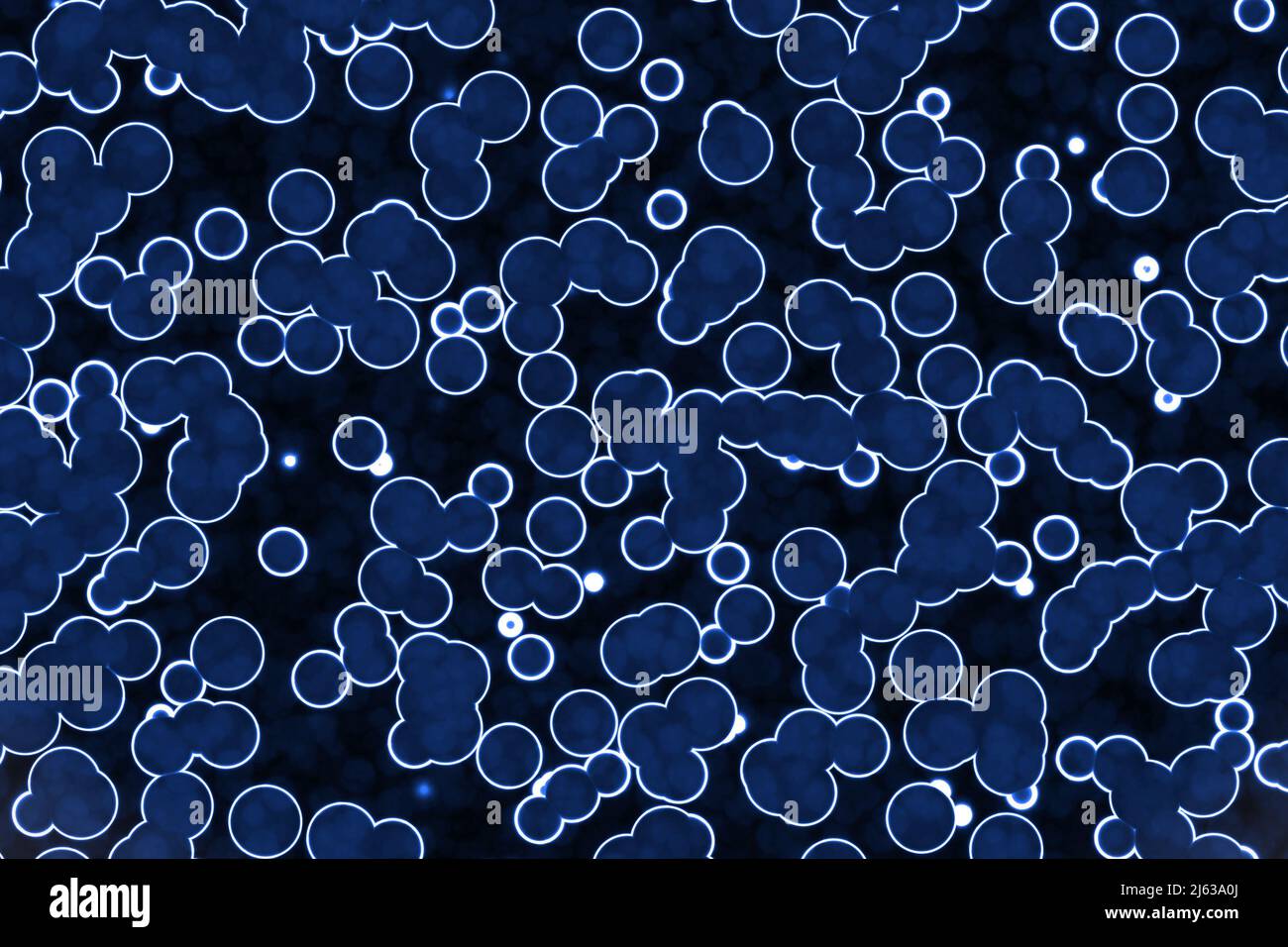 artistic beautiful blue many biological primitive organisms digital ...