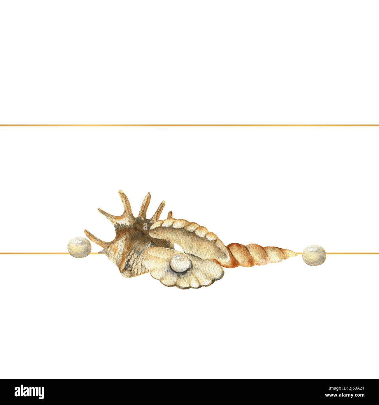Hand-drawn Gold frame with shells, beach illustration. Watercolor ...