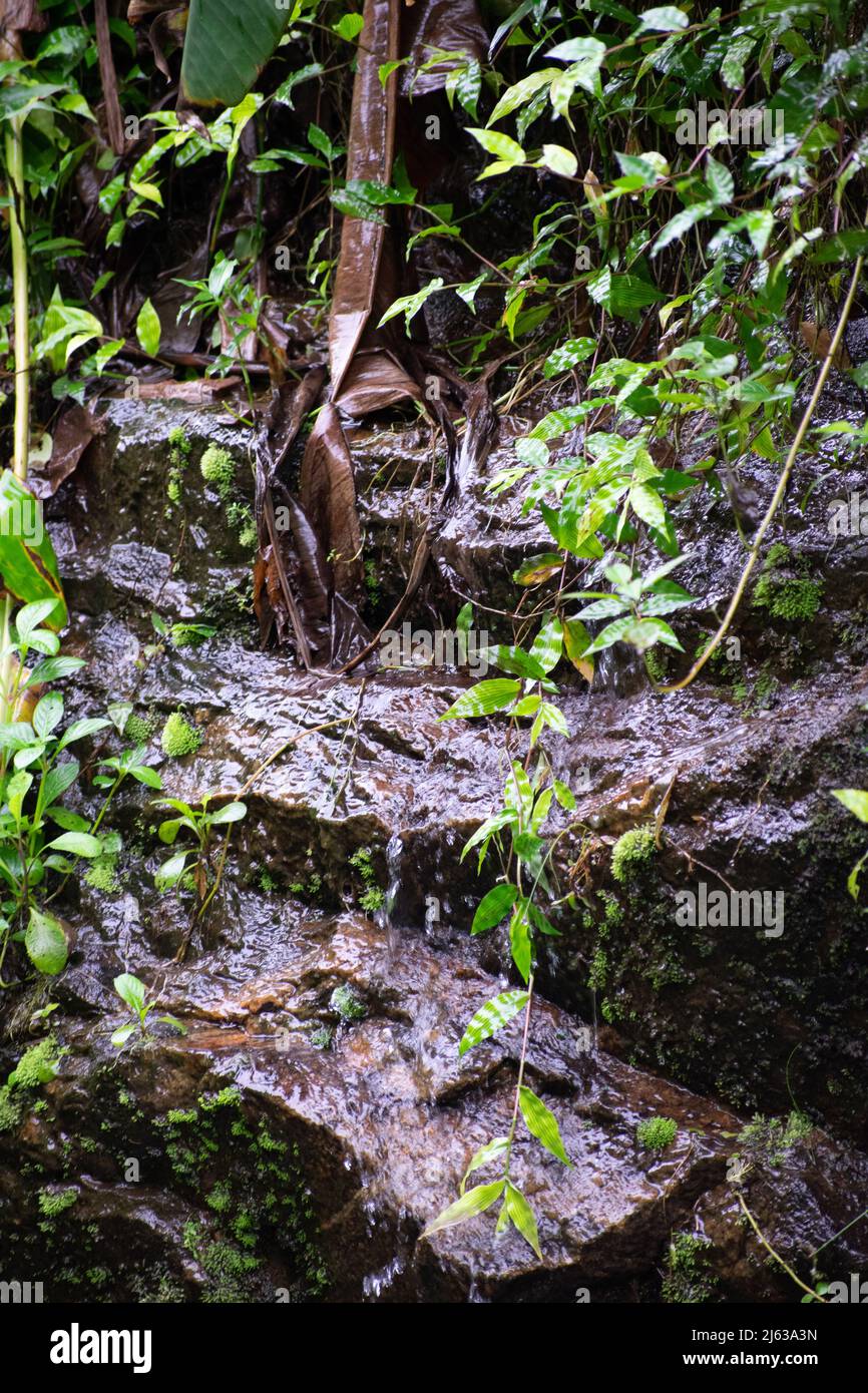 Water is flowing through rocks Stock Photo - Alamy