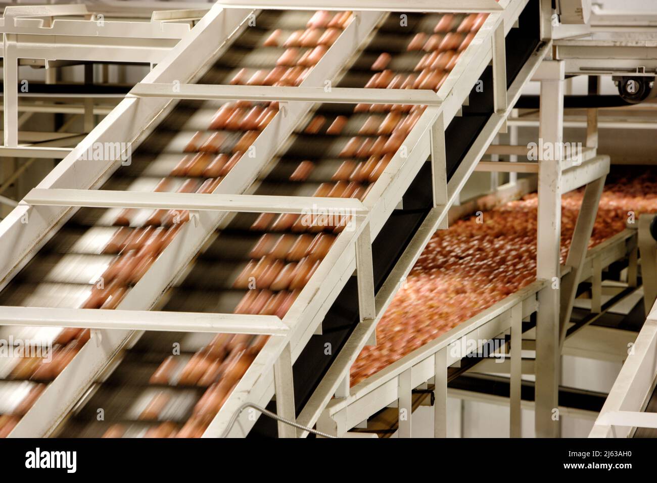Potatoes on conveyor belt hi-res stock photography and images - Alamy