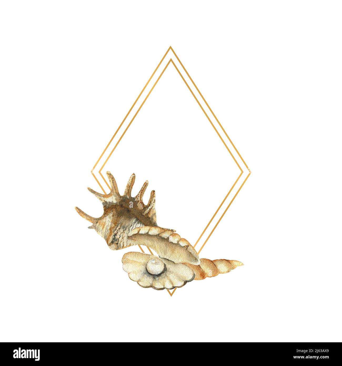 Hand-drawn Gold frame with shells, beach illustration. Watercolor ...