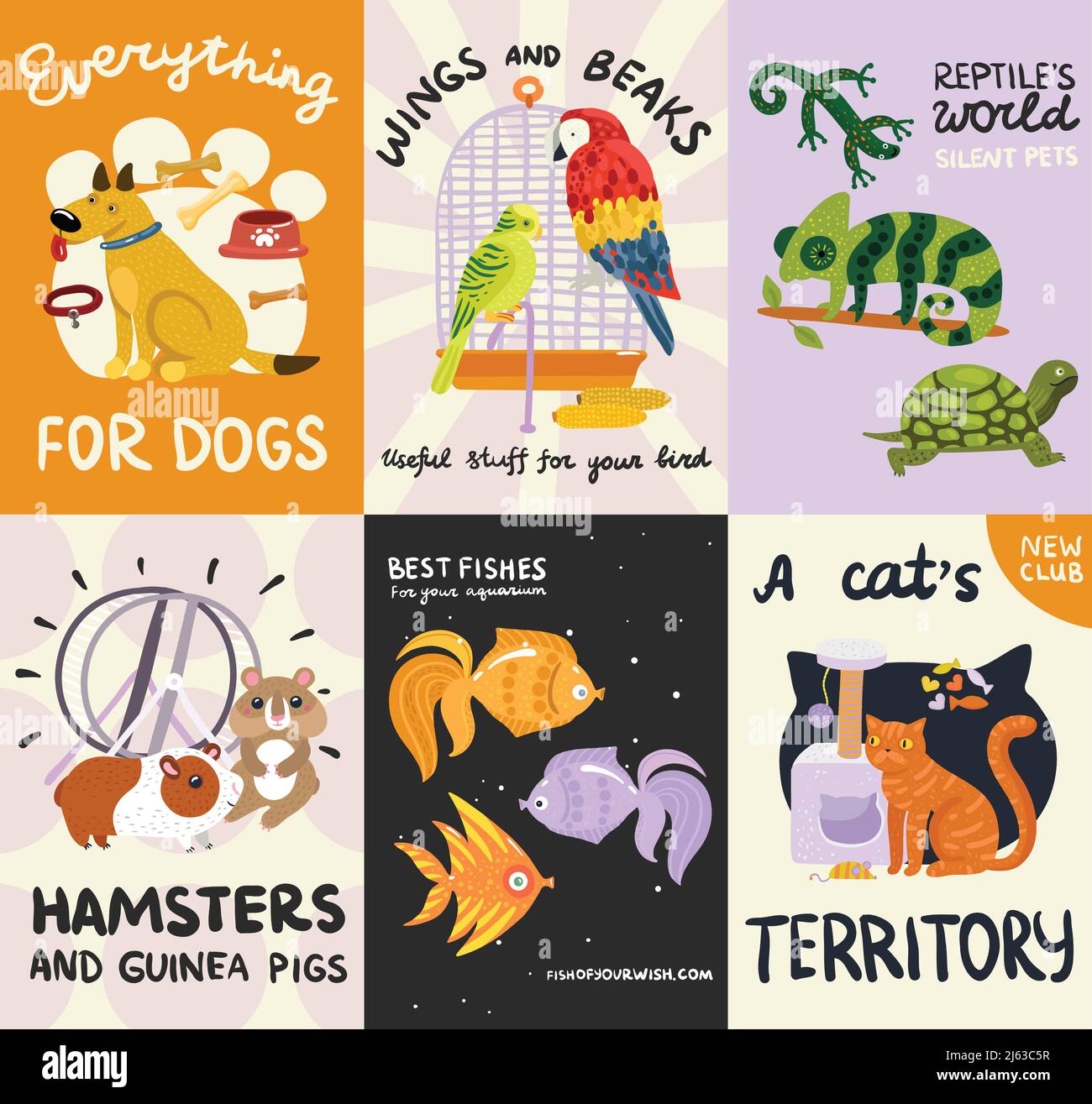 Cat dog parrot fish hi-res stock photography and images - Alamy