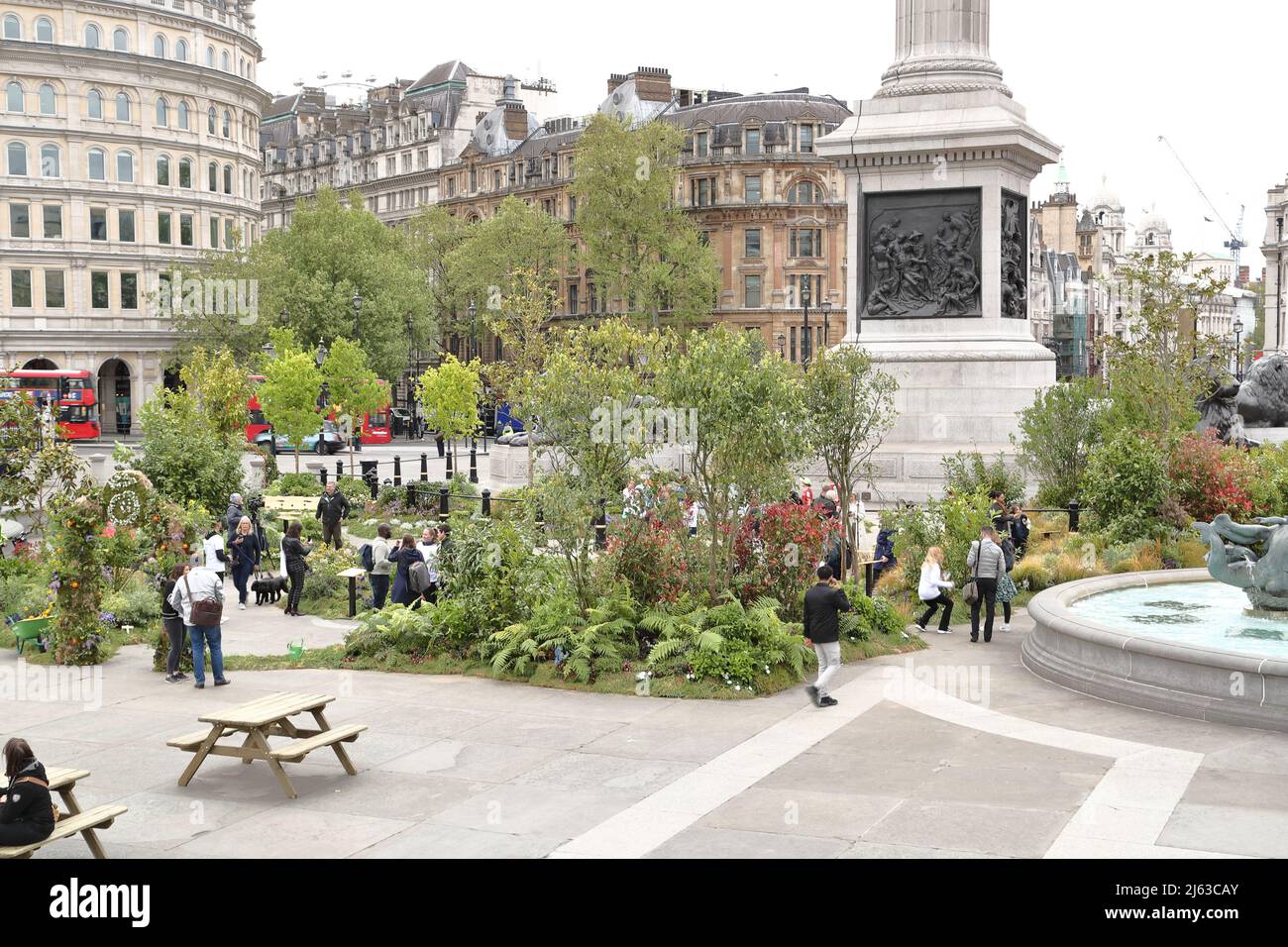 Big rewild campaign hi-res stock photography and images - Alamy