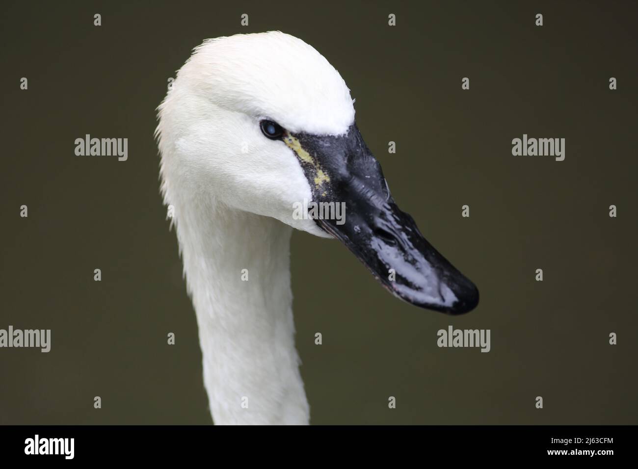 Large bodies of water hi-res stock photography and images - Alamy