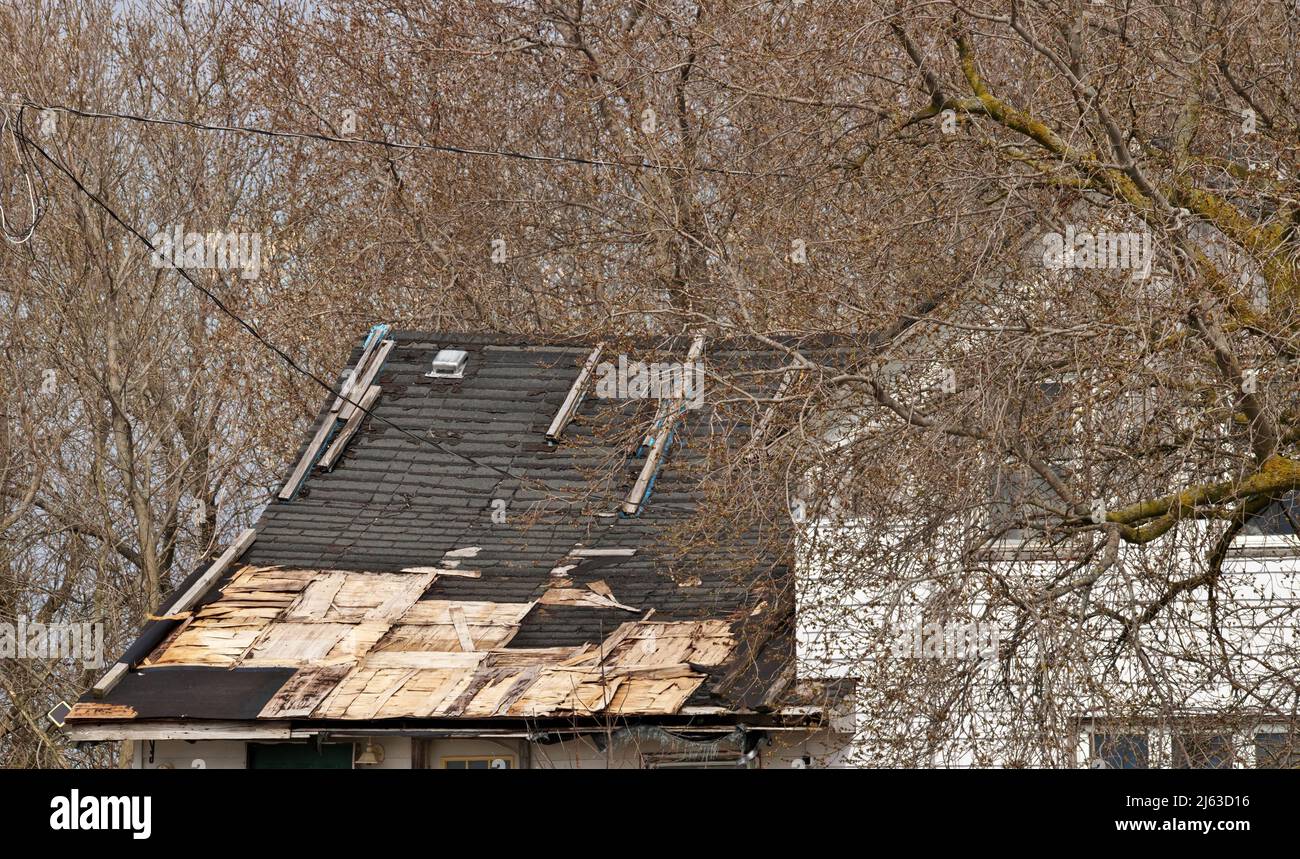Rotten plywood hi-res stock photography and images - Alamy