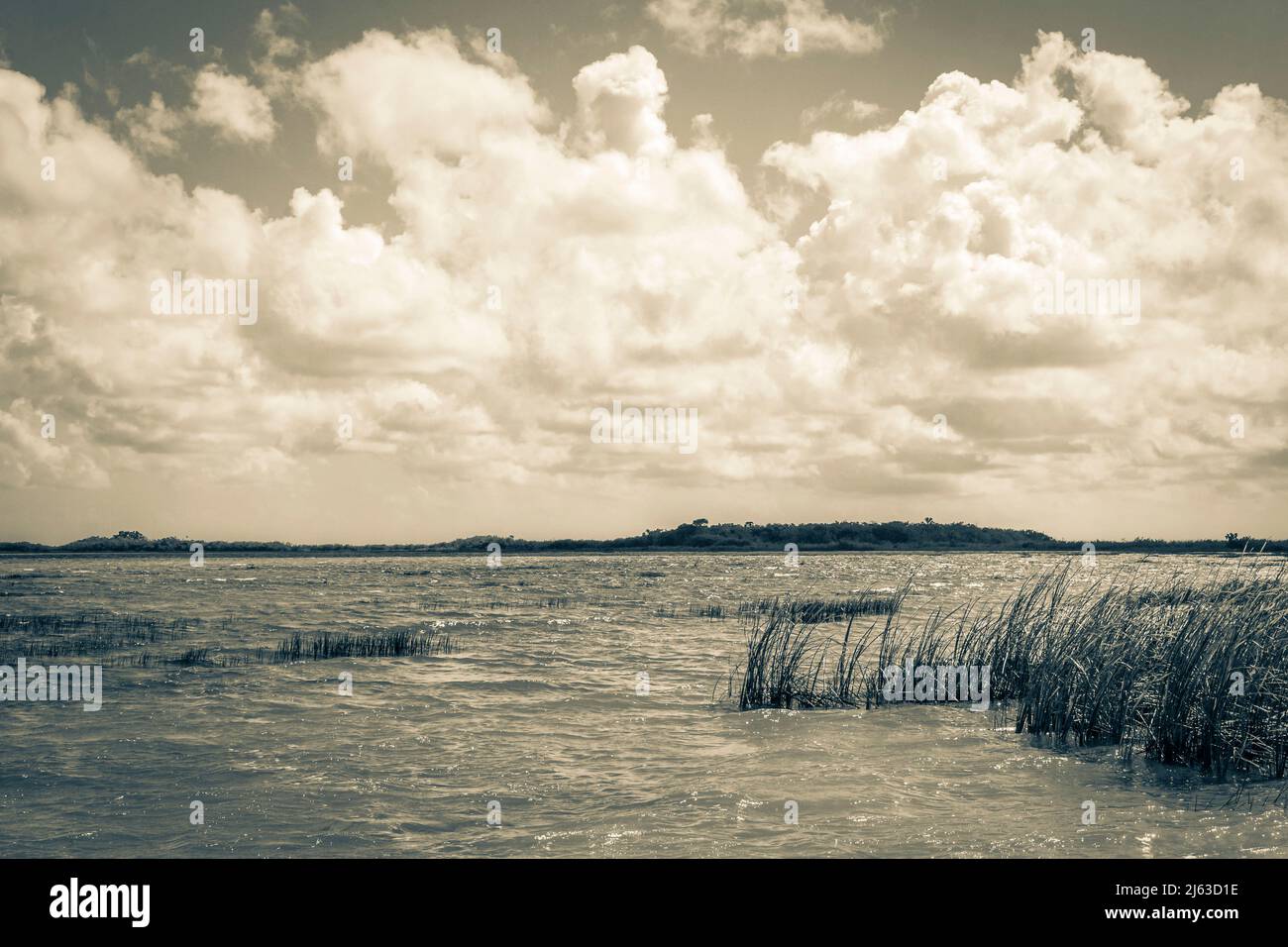 Old black and white picture of the natural panorama view to the Muyil ...