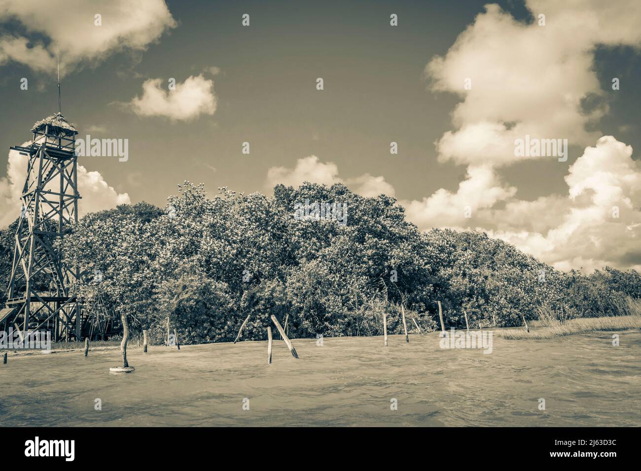 Old black and white picture of the natural panorama view to the Muyil ...