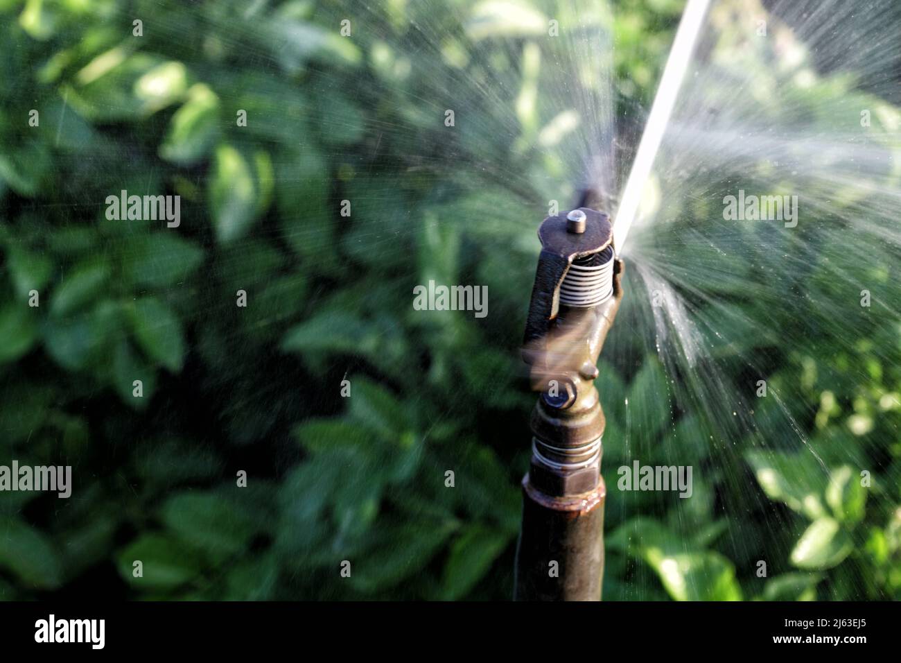 A closeup image of an agricultural sprinkler spraying water on farm ...