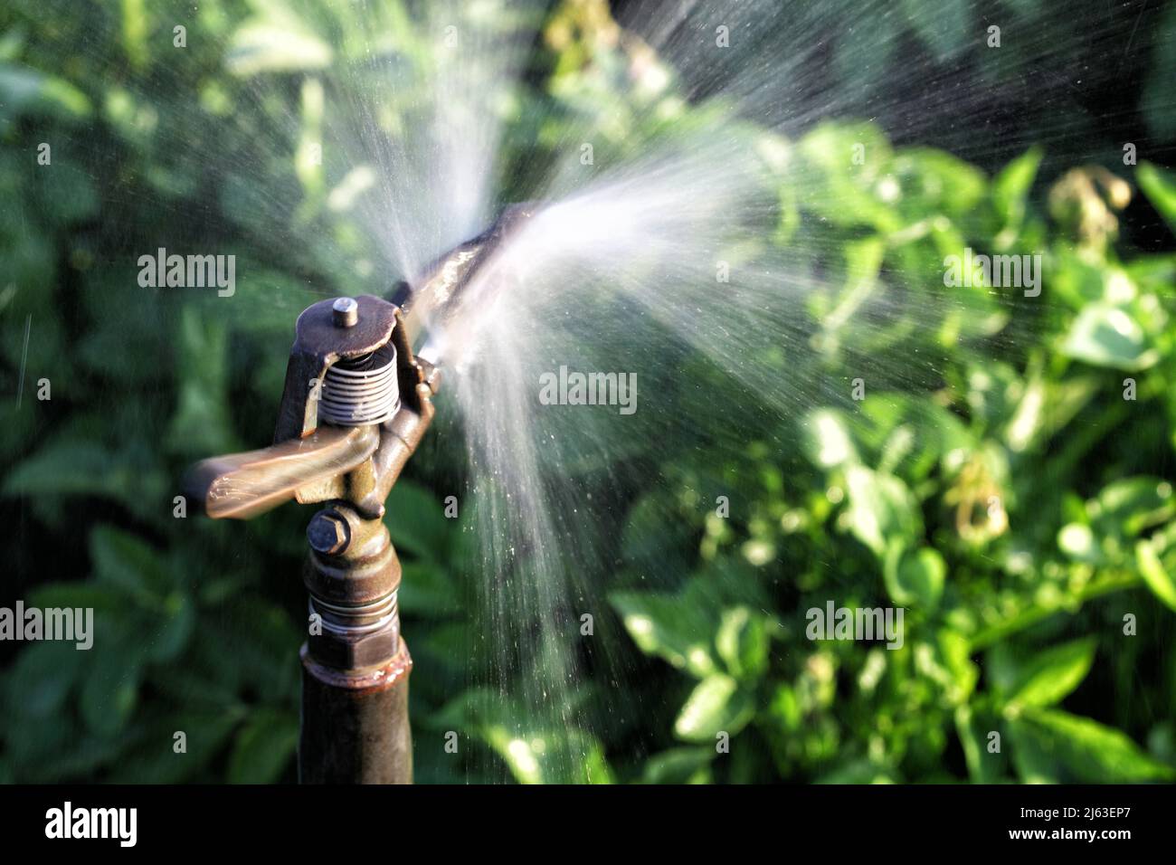 A closeup image of an agricultural sprinkler spraying water on farm ...