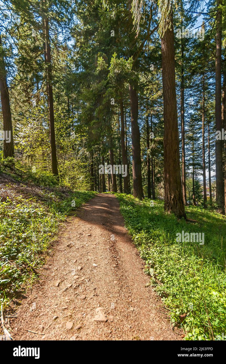 Hike mount tabor hi-res stock photography and images - Alamy