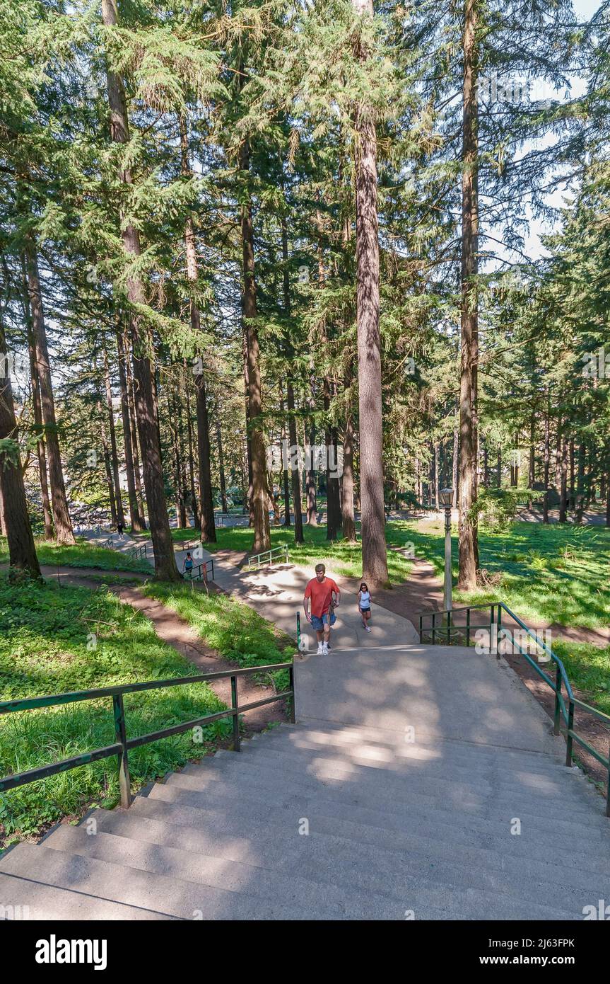 Mt.Tabor Park in Portland, Oregon Stock Photo - Alamy
