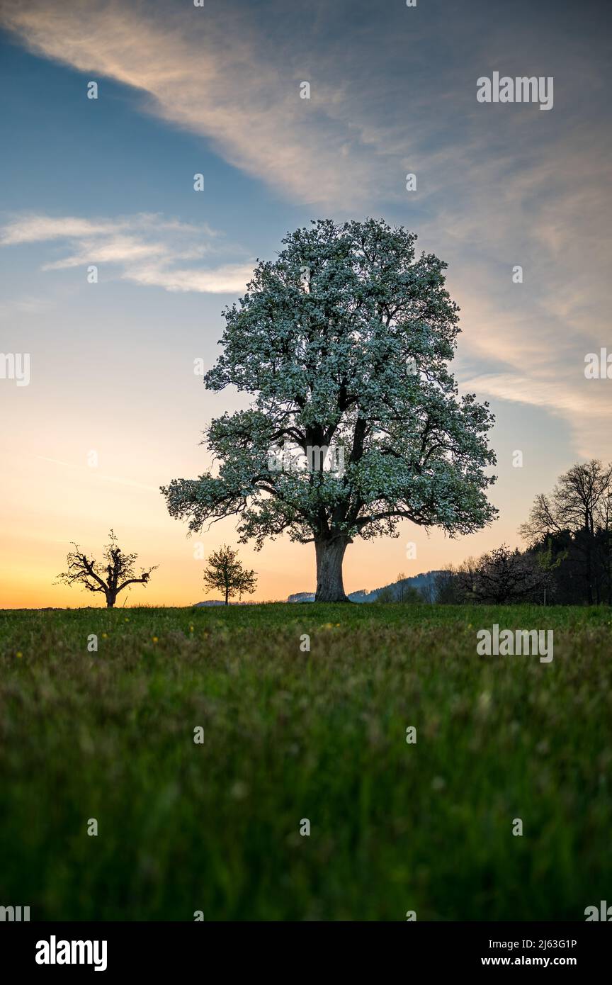 Zeglingen hi-res stock photography and images - Alamy