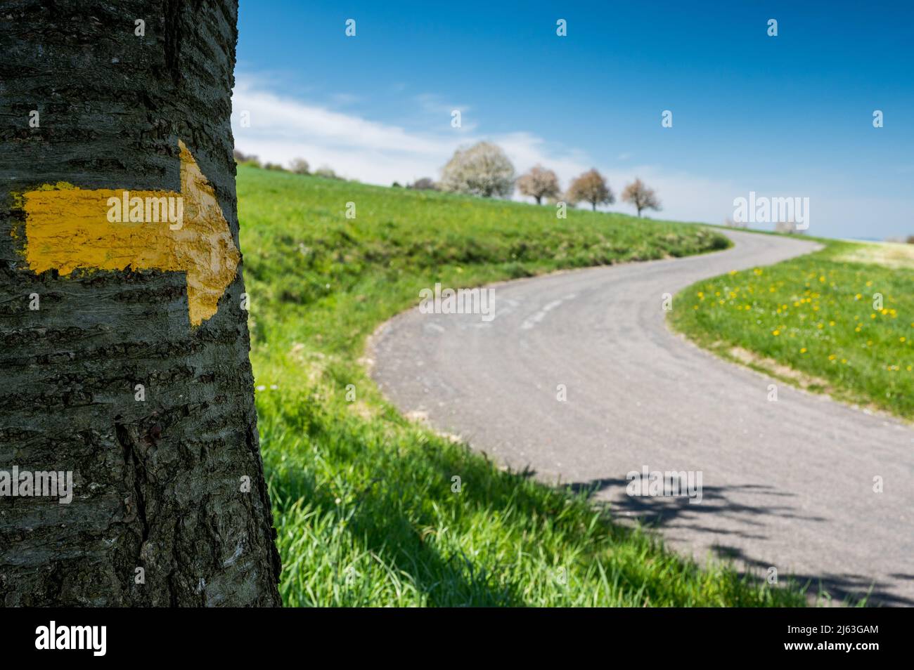 yellow hiking trail sign arrow in Baselland in spring Stock Photo - Alamy