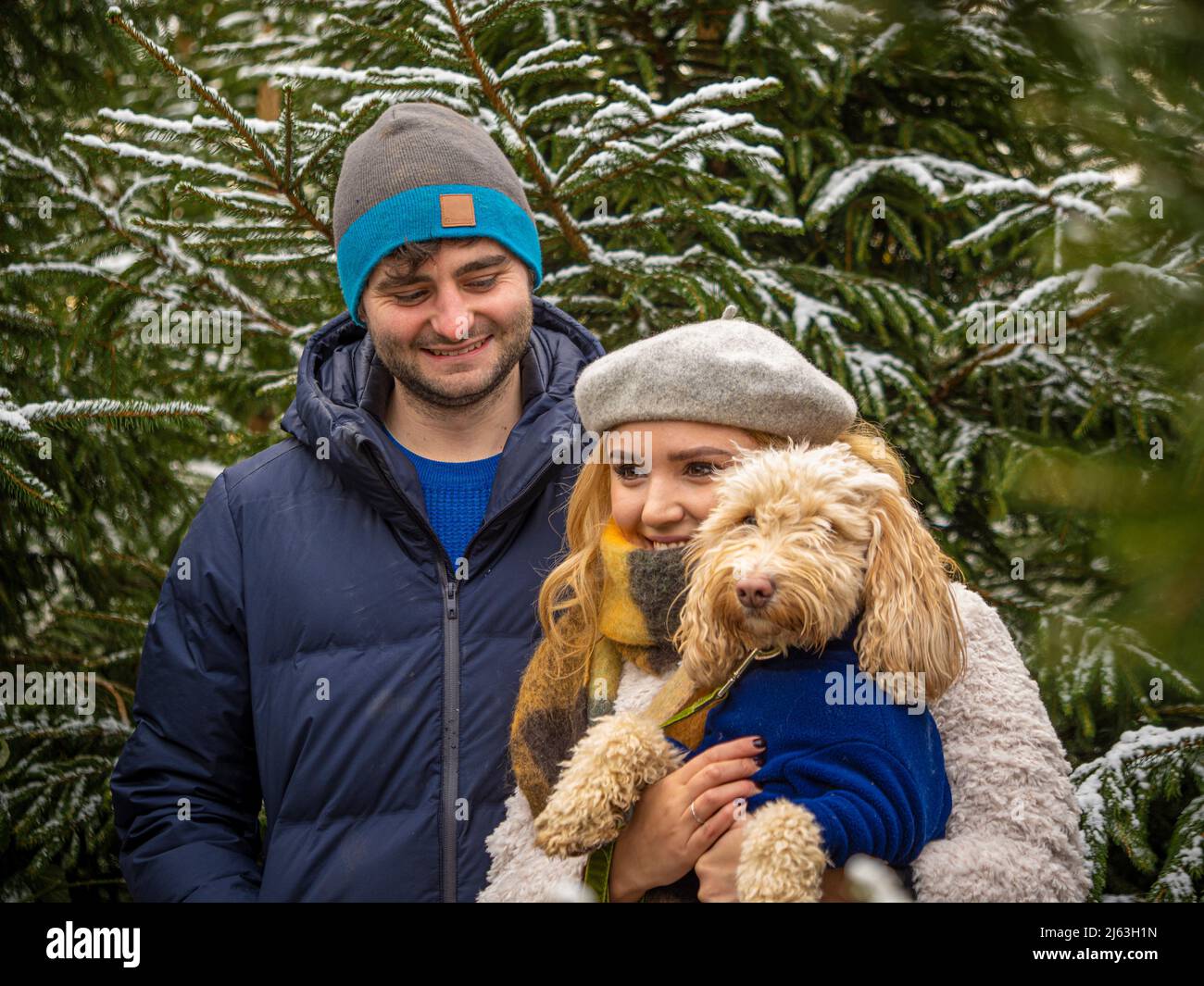 Young woman pine tree hi-res stock photography and images - Alamy