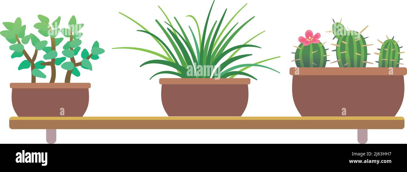 Indoor plants in pots. Cartoon home greenery shelves Stock Vector Image ...