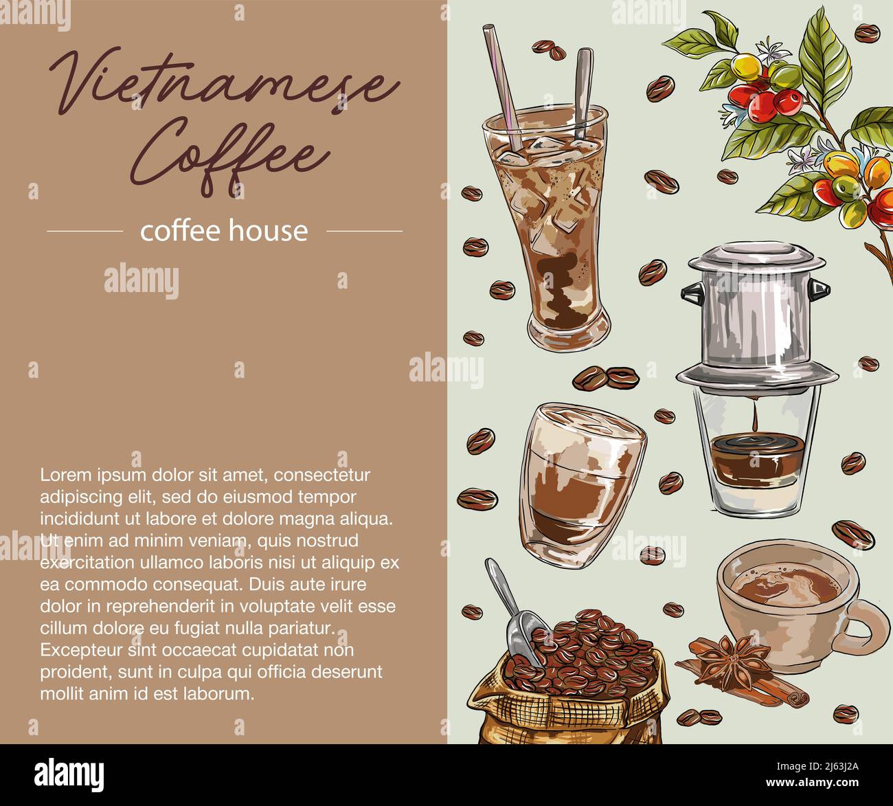 Hand drawn of coffee beans, coffee cups with vietnamese coffee drip ...