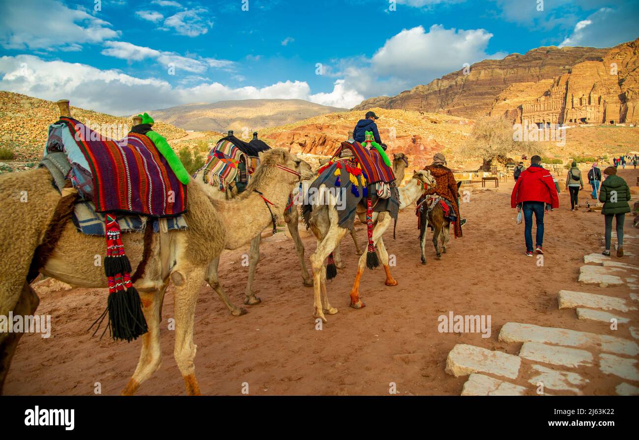 Bedouin camel rider petra jordan hi-res stock photography and images ...