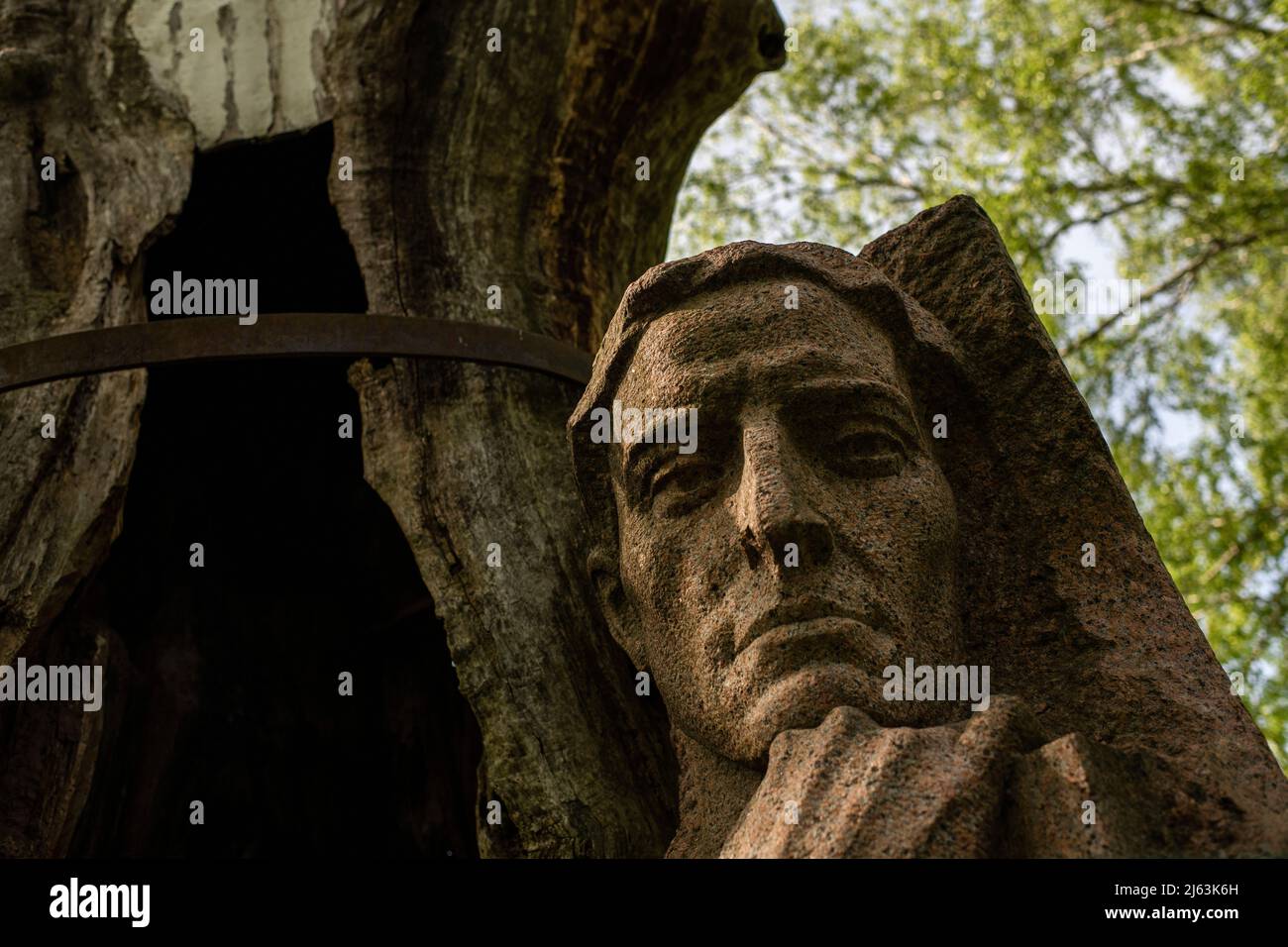 The 700-year-old oak of Gregory Skovoroda. The Museum of Ukrainian ...