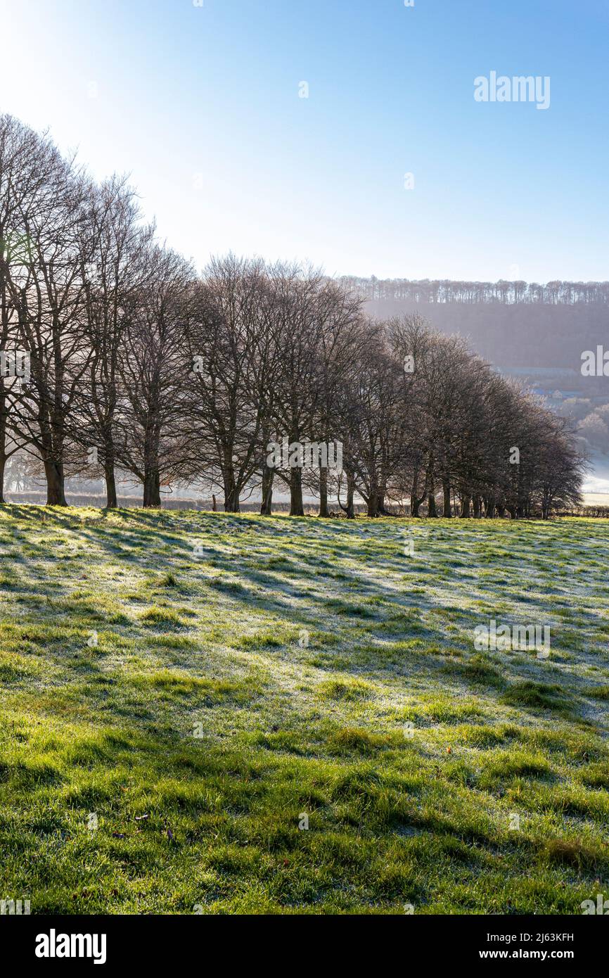 Winter morning mist and frost near the Cotswold village of Sheepscombe ...
