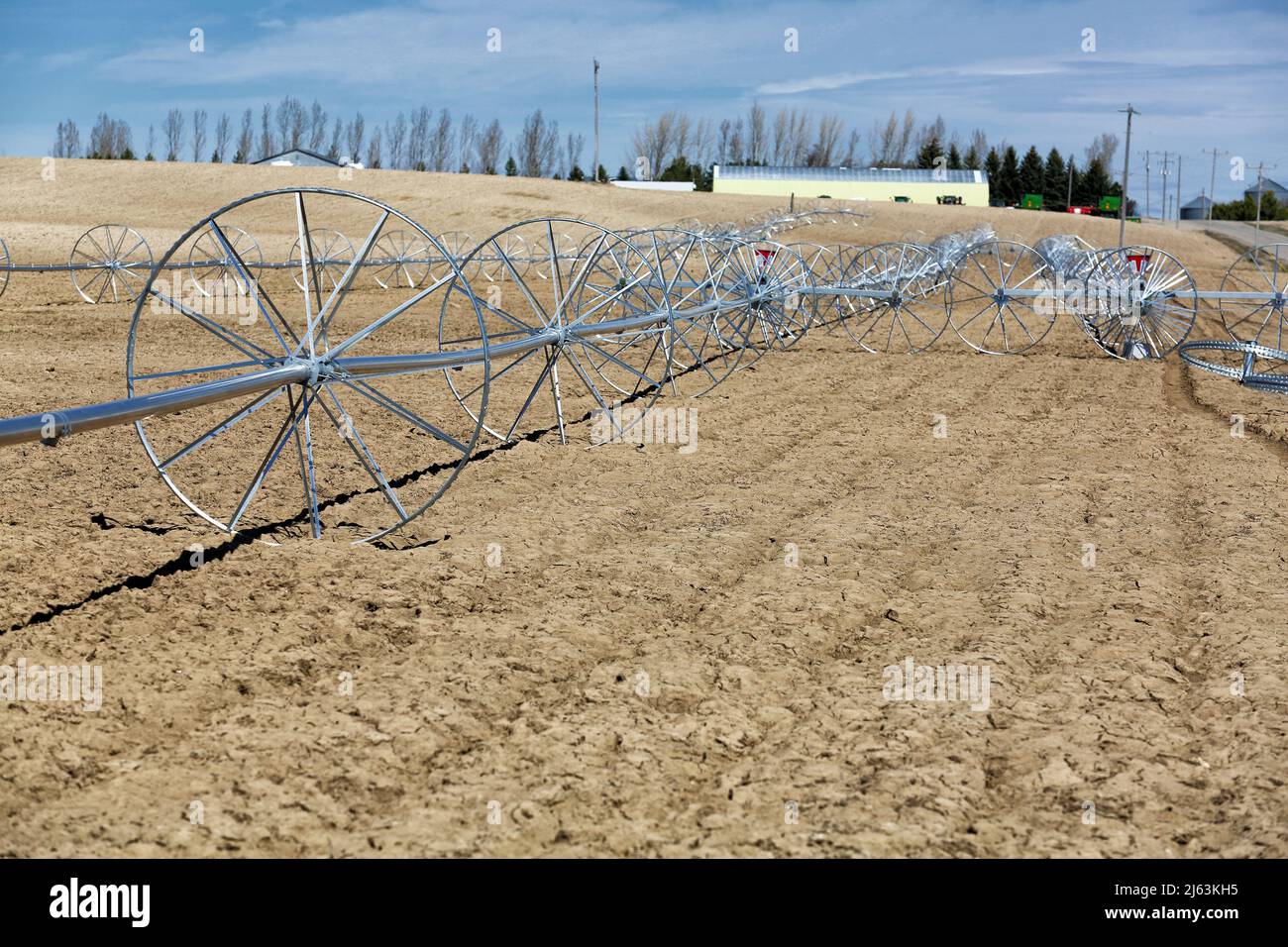 A newly set up wheel line sprinkler ready to irrigate a wheat field, in ...