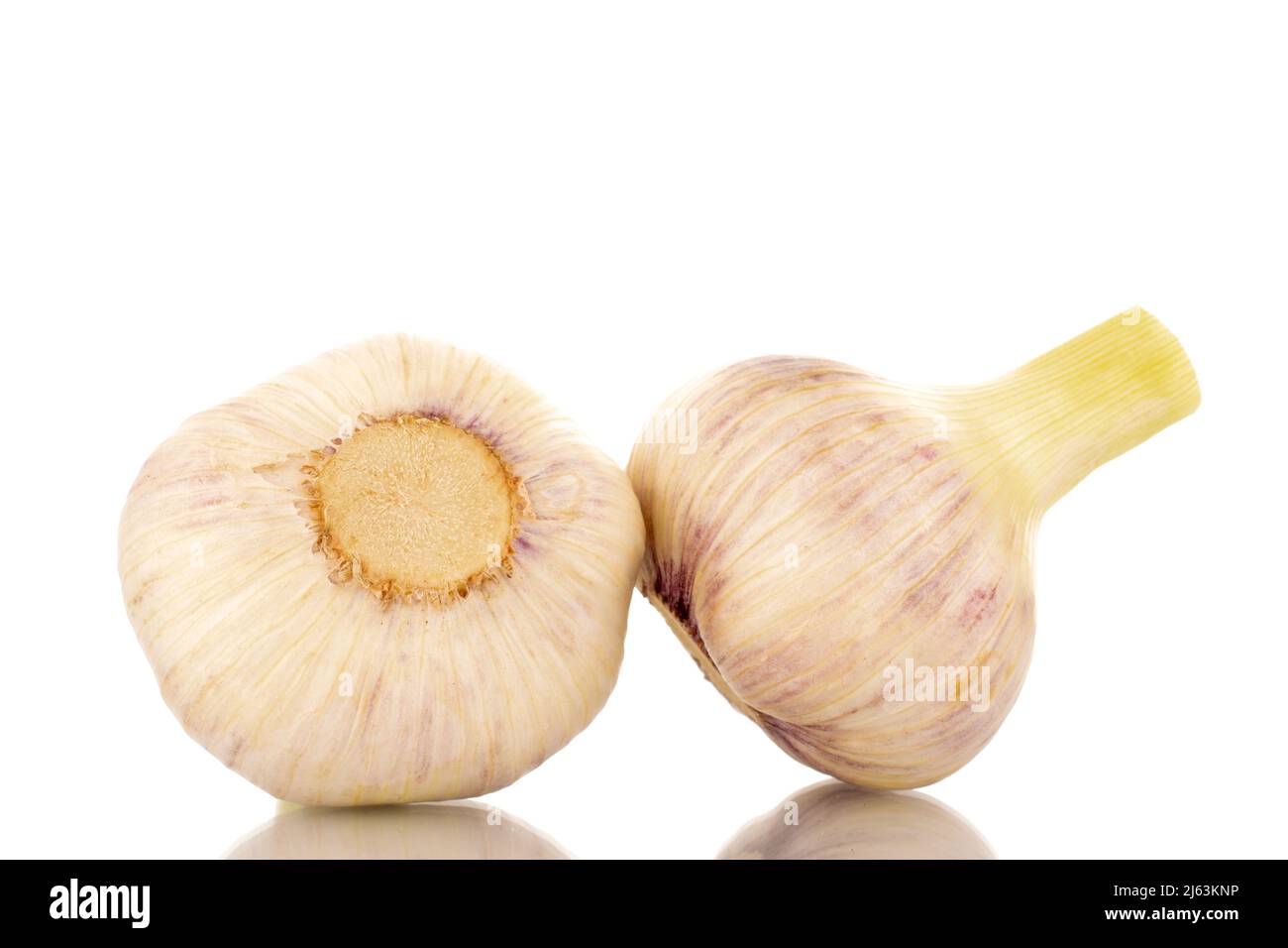 Two heads of early garlic, macro, isolated on a white background Stock ...