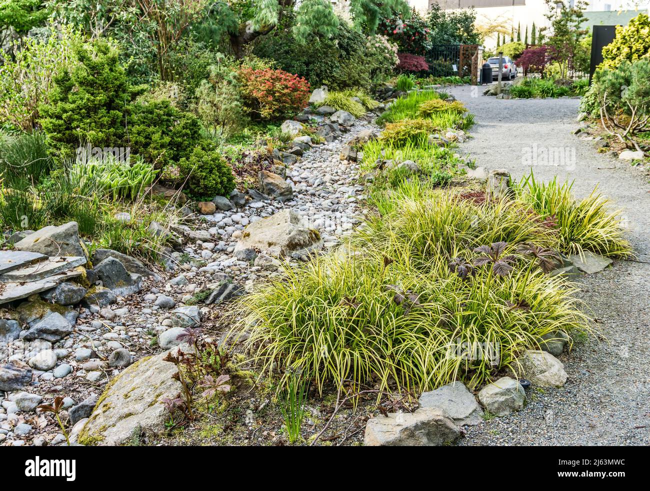 Plants and flowers grow by a dry stream bed in Seatac, Washington Stock ...