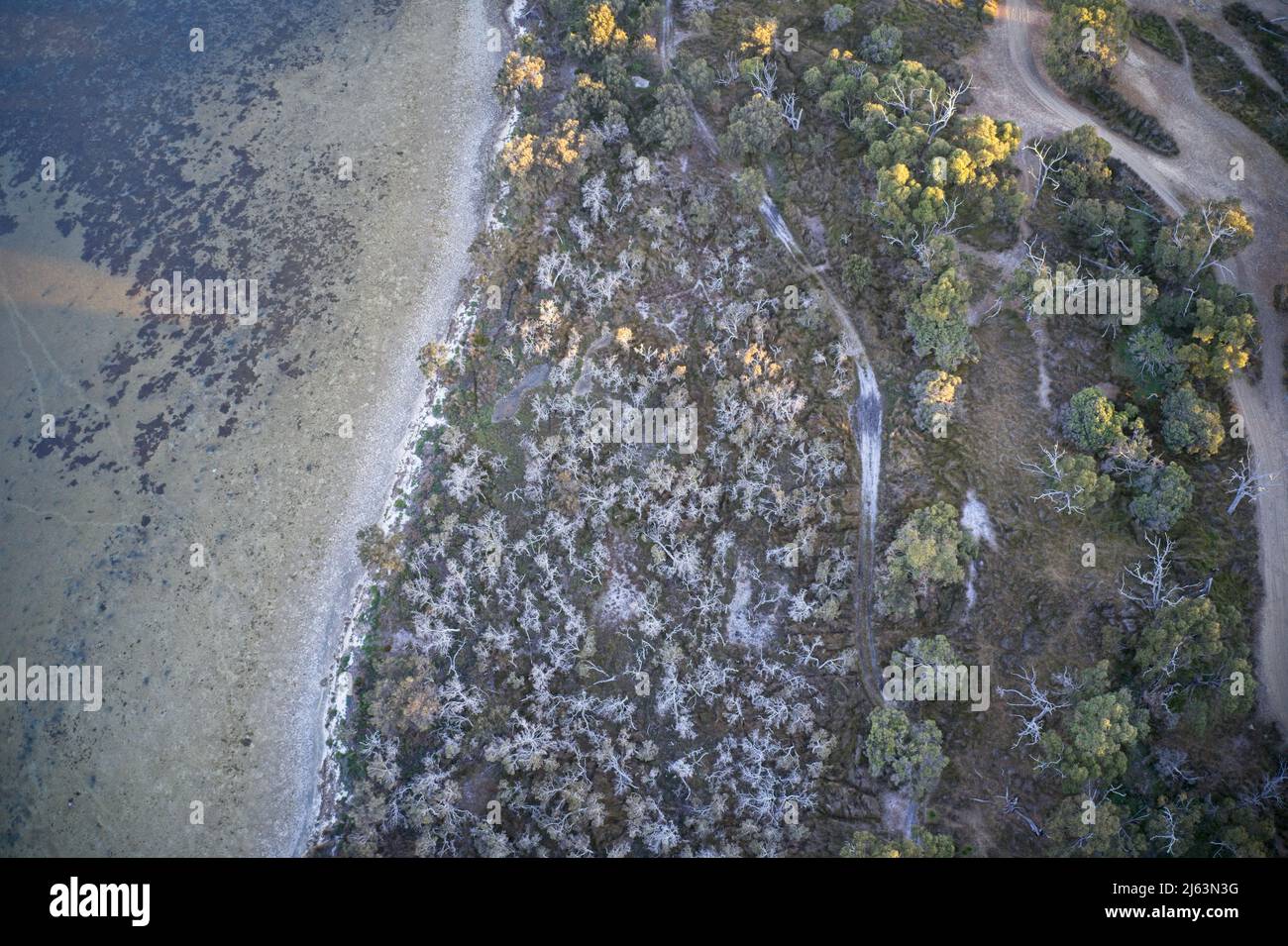 Aerial view of walkway through park forming patterns in nature, Western ...