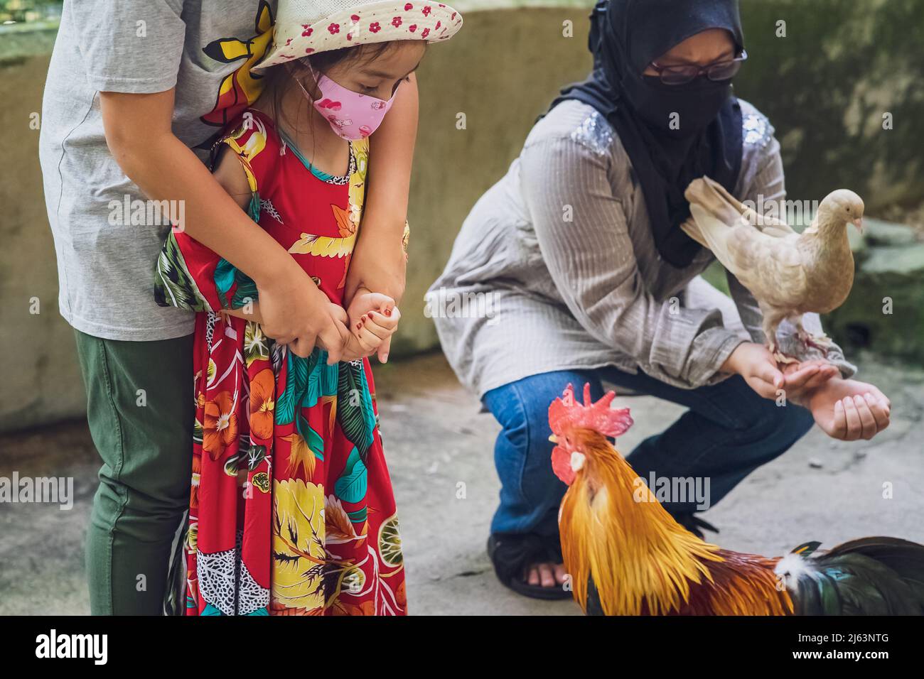 Birds flock scared hi-res stock photography and images - Alamy