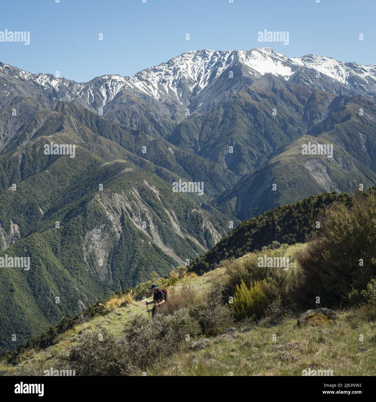Hiking Mt Fyffe track with snow-capped mountain peaks in the background ...