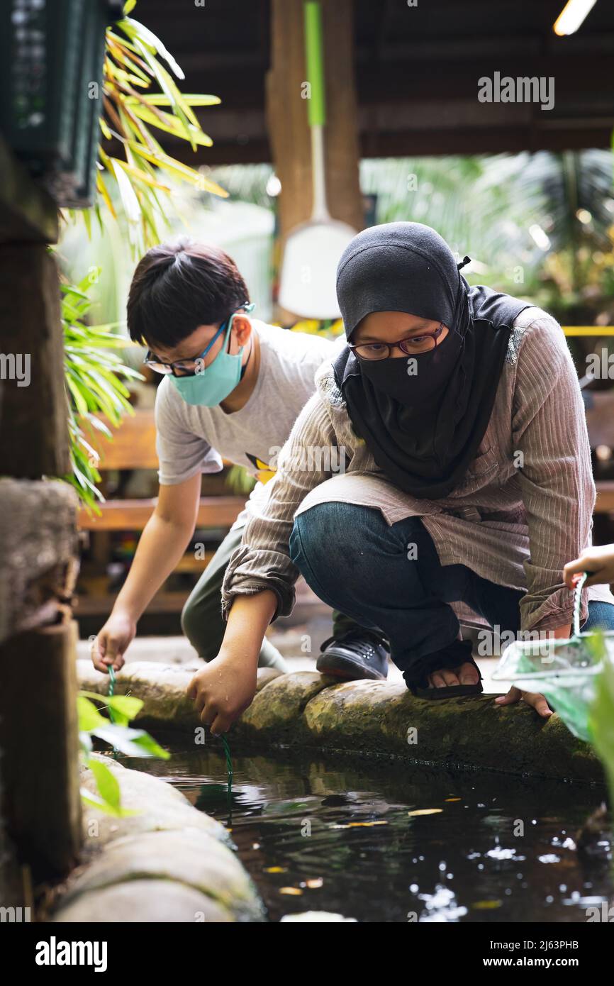 Children catching fish hi-res stock photography and images - Alamy