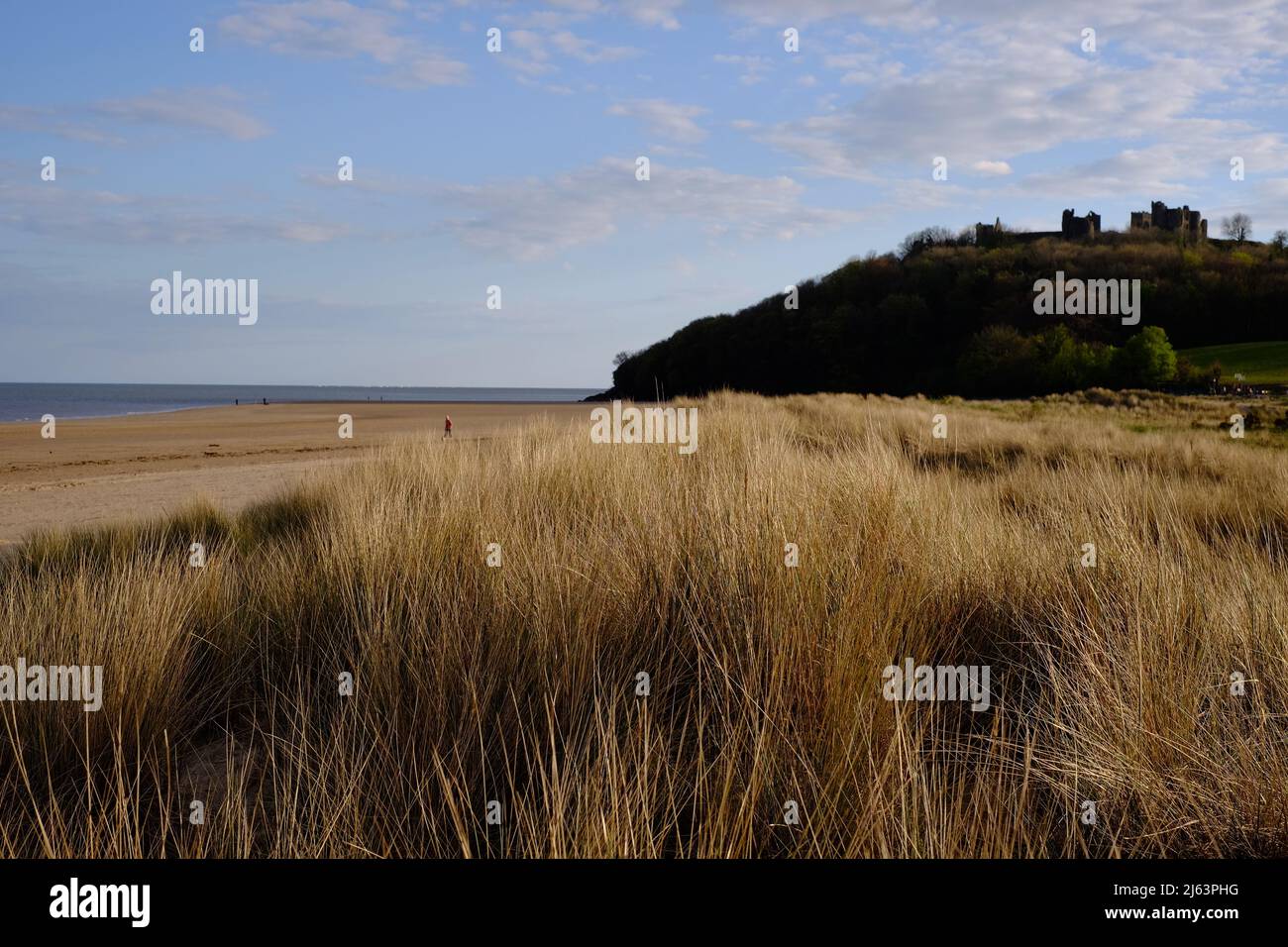 Llansteffan beach and castle. Carmarthenshire, Wales Stock Photo - Alamy