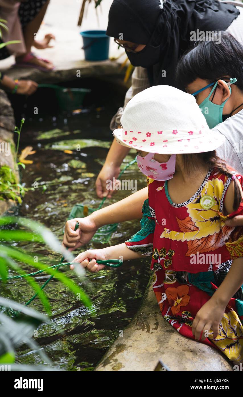 Children catching fish hi-res stock photography and images - Alamy