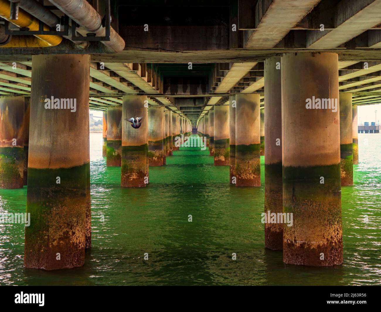 Large concrete columns support a bridge over the Huelva river Stock ...