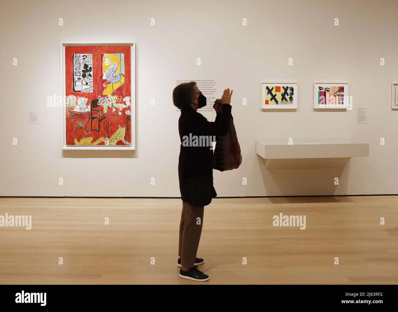 Henri Matisse The Red Studio