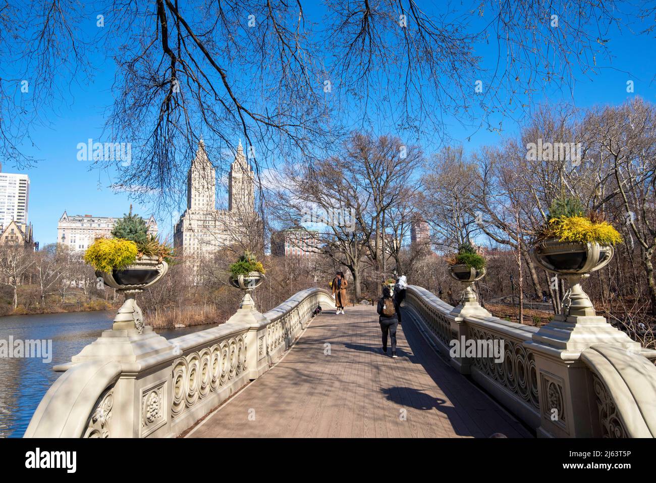 Bow Bridge in Central Park, Manhattan New York City, USA Stock Photo ...