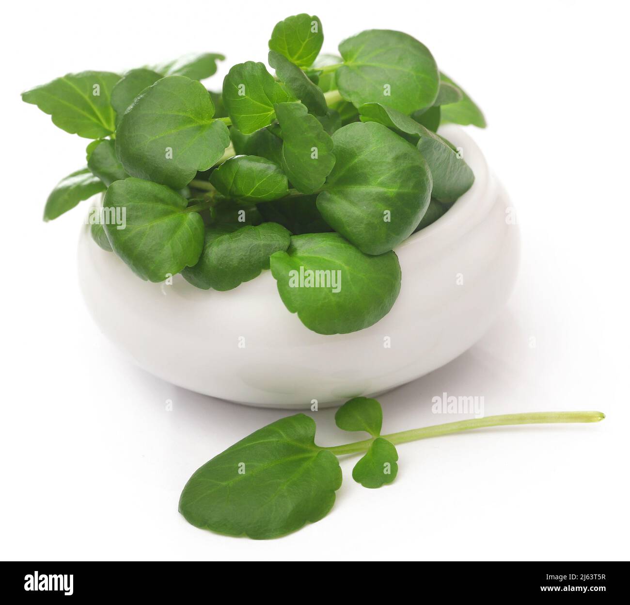 Fresh organic watercress over white background Stock Photo - Alamy