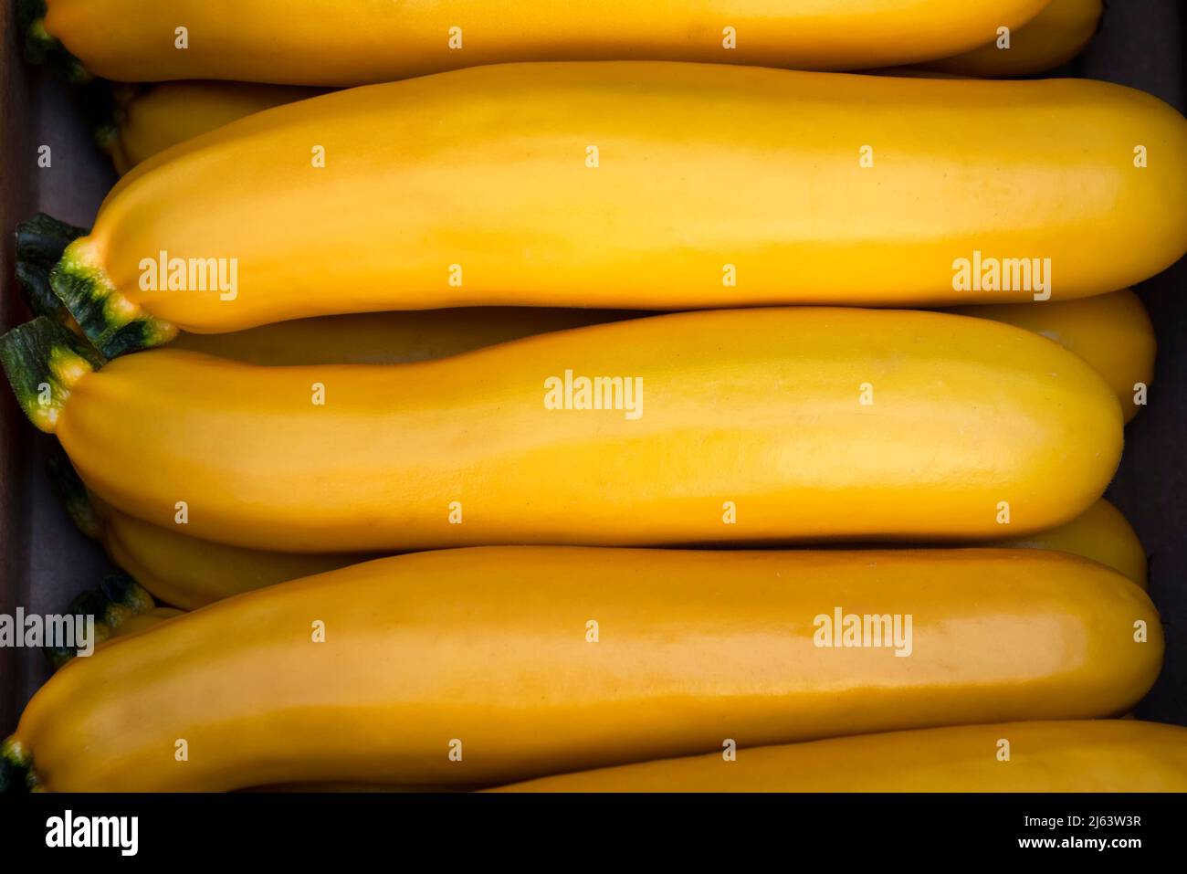 Courgette golden zucchini hi-res stock photography and images - Alamy
