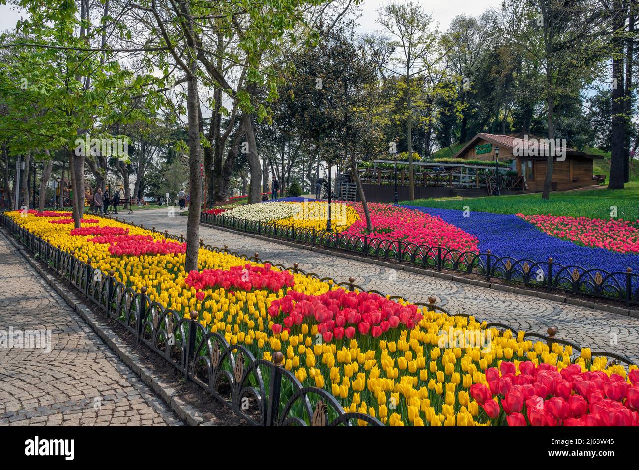 Tulip Festival in Emirgan Park in Sariyer district of Istanbul, Turkey ...