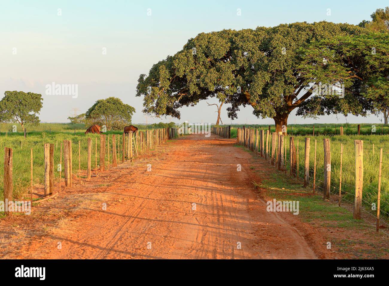 Dirt road of a rural area with fences separating the dirt road from the ...