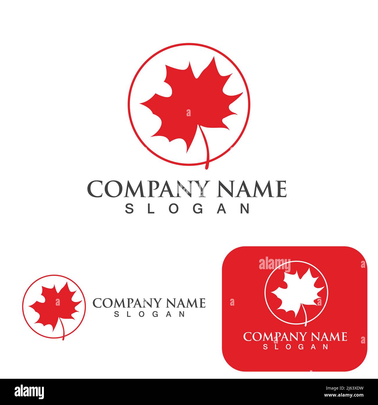 Maple leaf vector illustration design template Stock Vector Image & Art ...