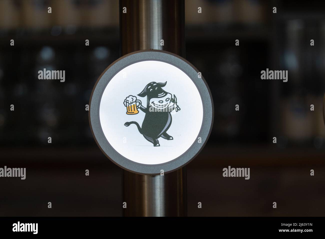 Guided tour of the small Gallien brewery followed by a tasting of the ...