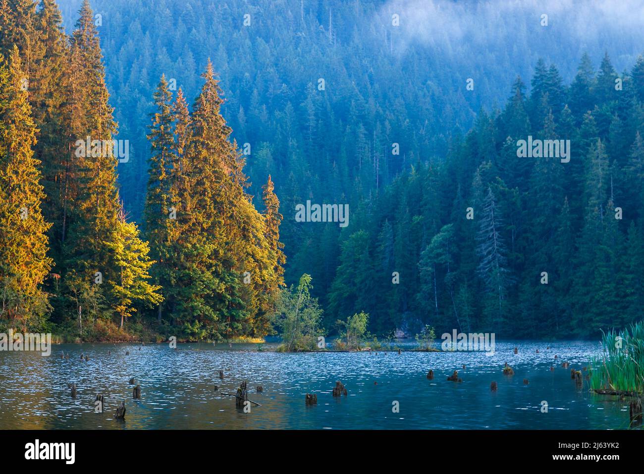 Lacul Rosu - Red Lake in a summer morning sunrise, the Carpathians ...