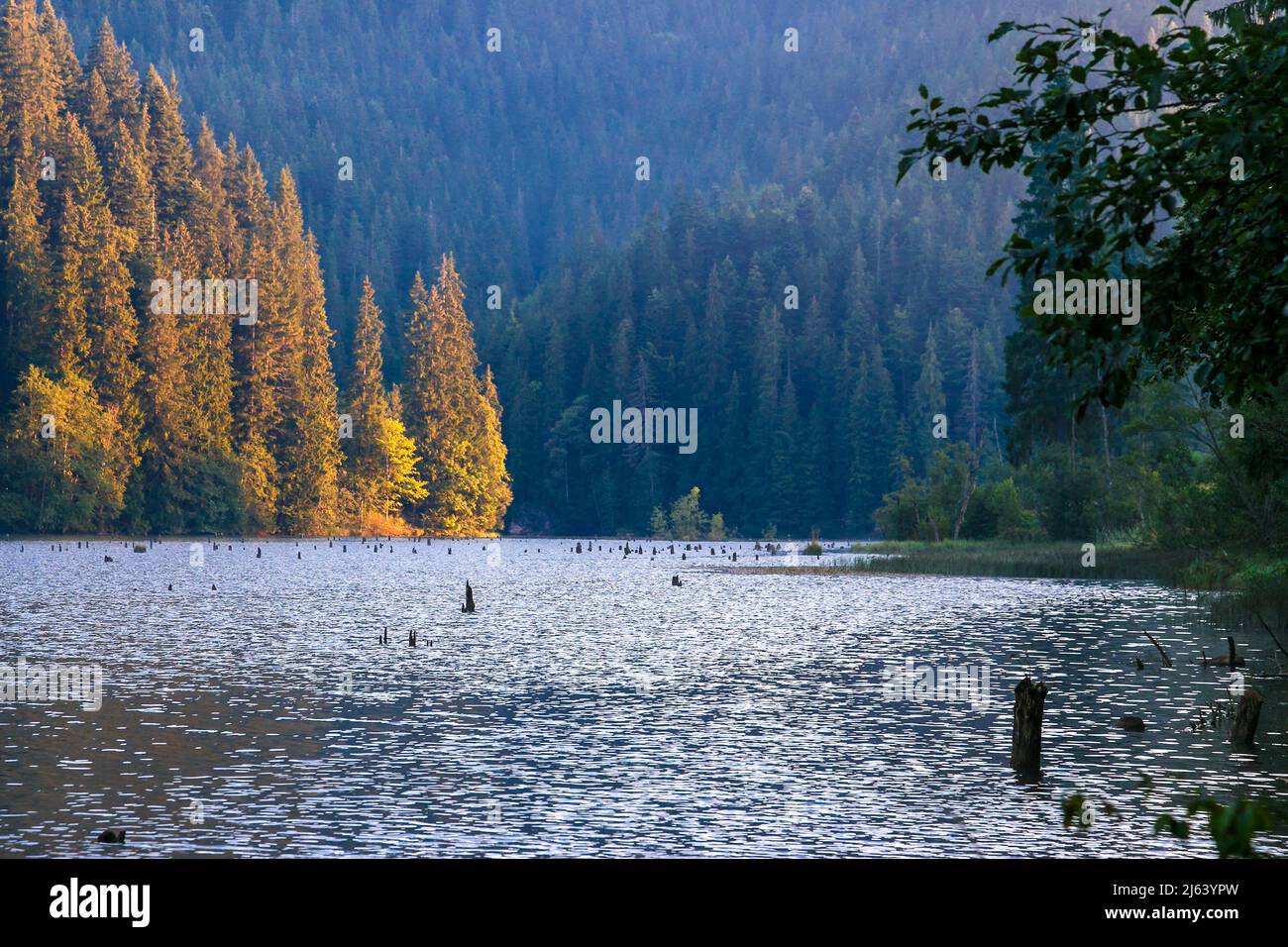Lacul Rosu - Red Lake in a summer morning sunrise, the Carpathians ...