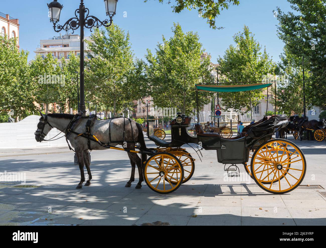 Traditional horse carriage in Seville. Spain. Tourist transport Stock ...