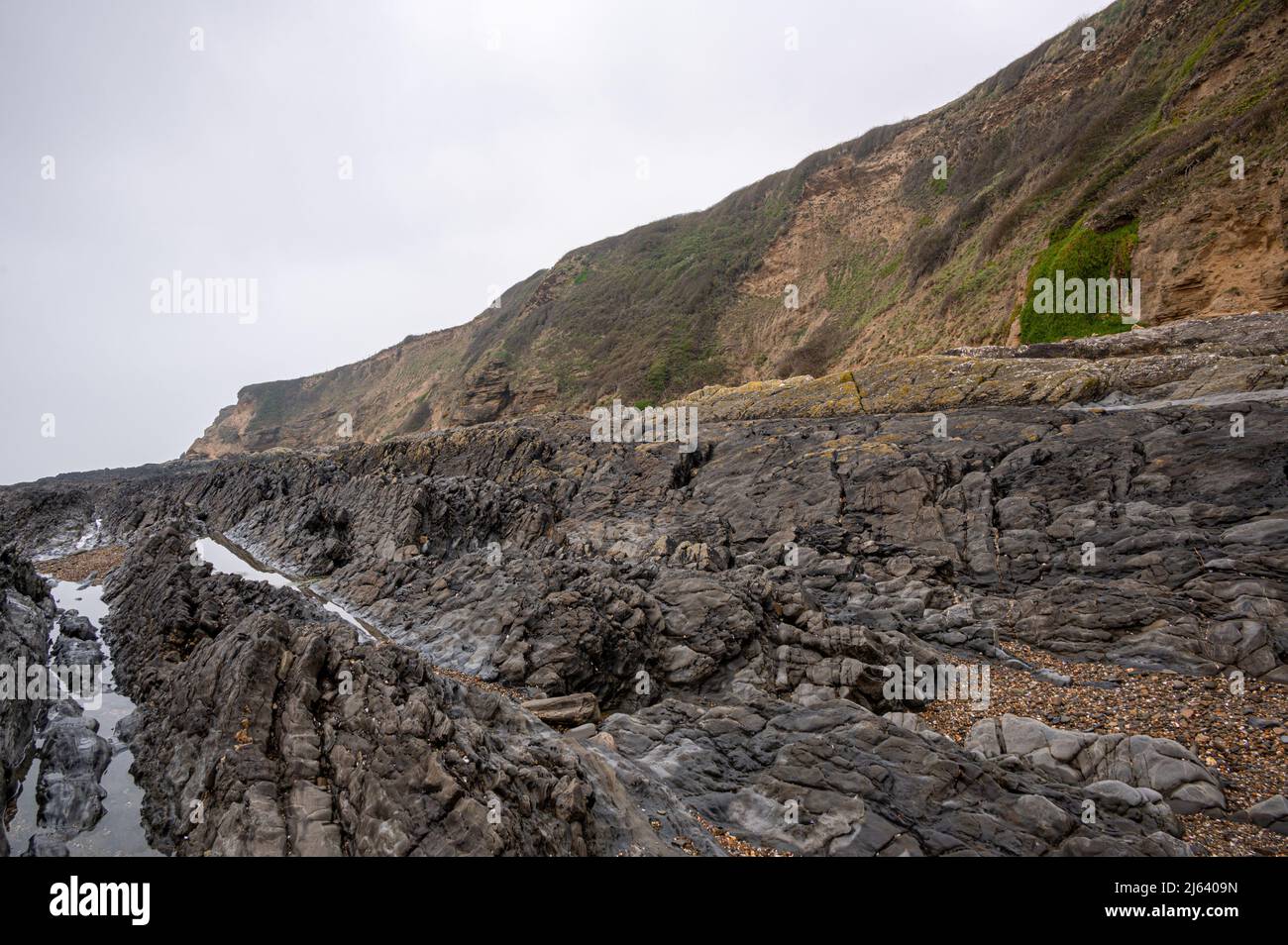 Upturned beds of Pilton shale of differing resistance that has been ...