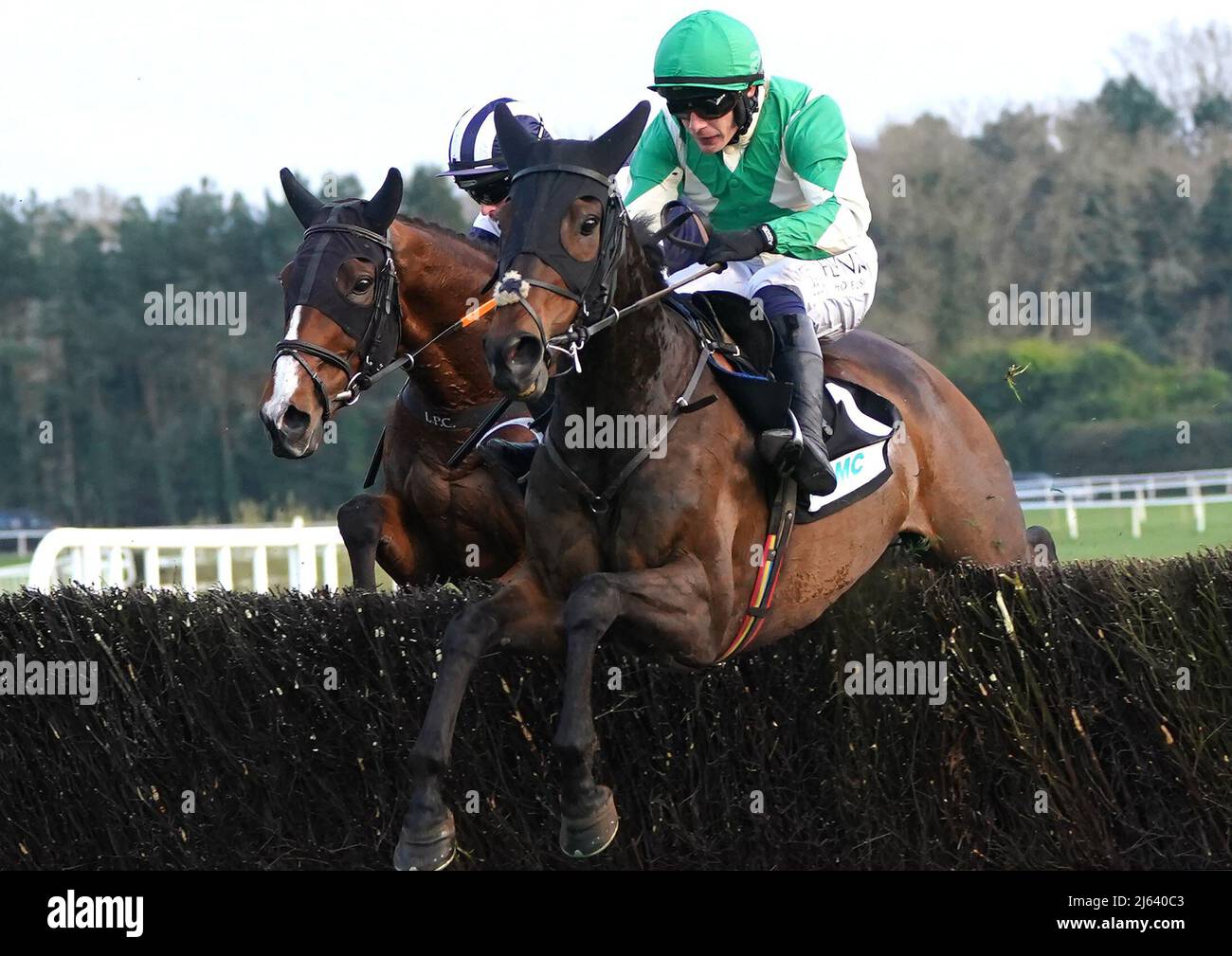 Royal rendezvous horse hi-res stock photography and images - Alamy