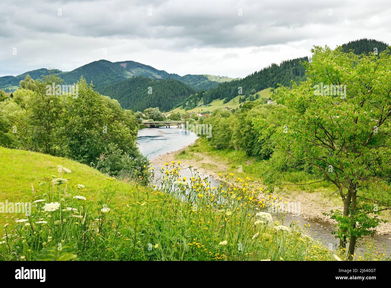 Panorama spring forest river hi-res stock photography and images - Alamy